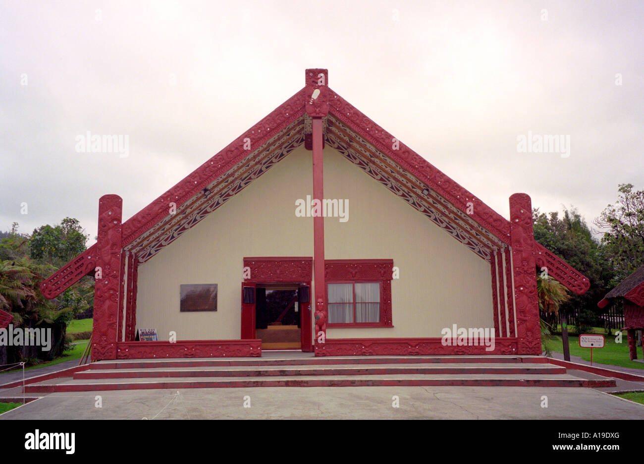 Kiwi mowri hi-res stock photography and images - Alamy