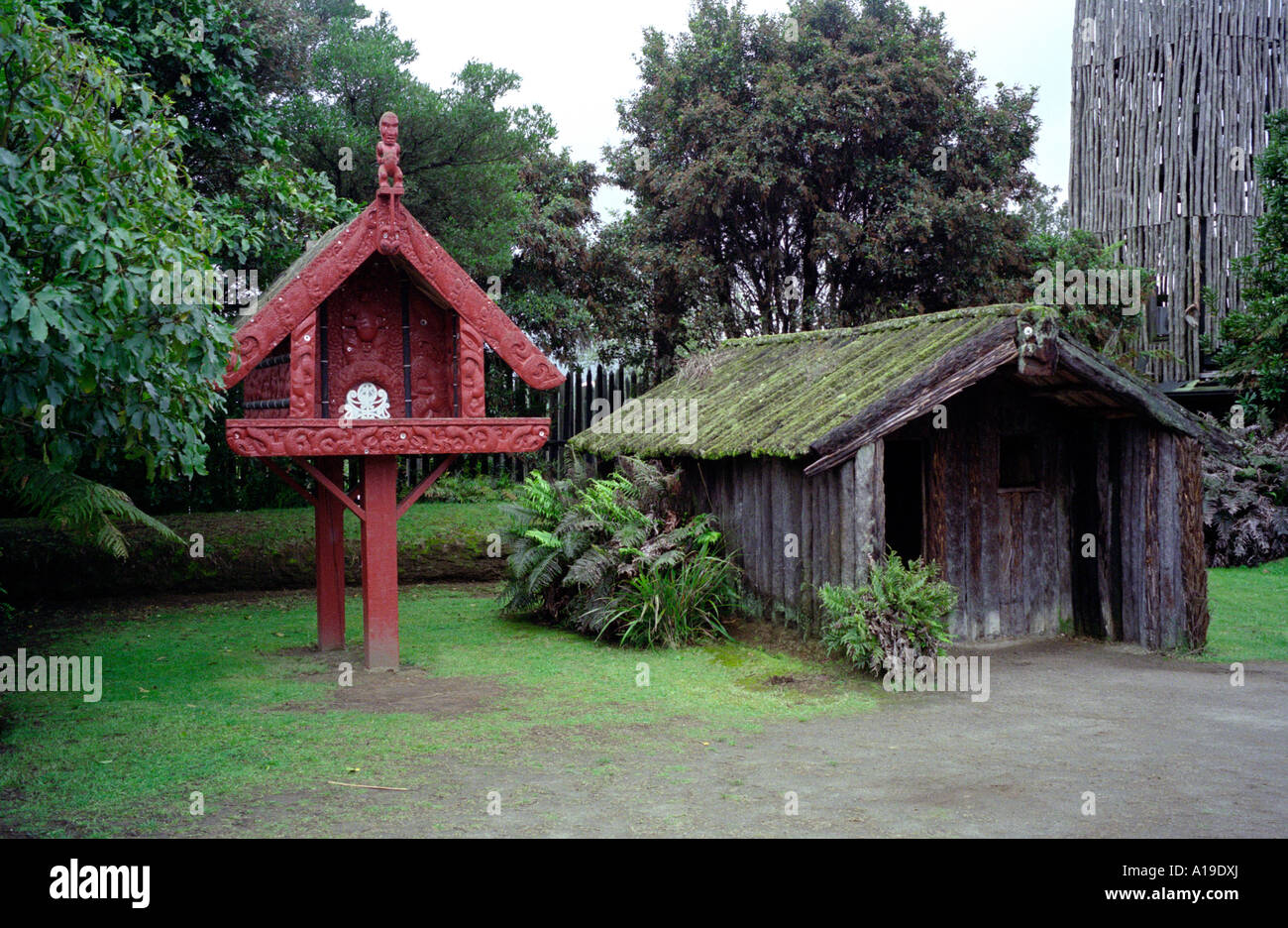 Maori hut hi-res stock photography and images - Alamy