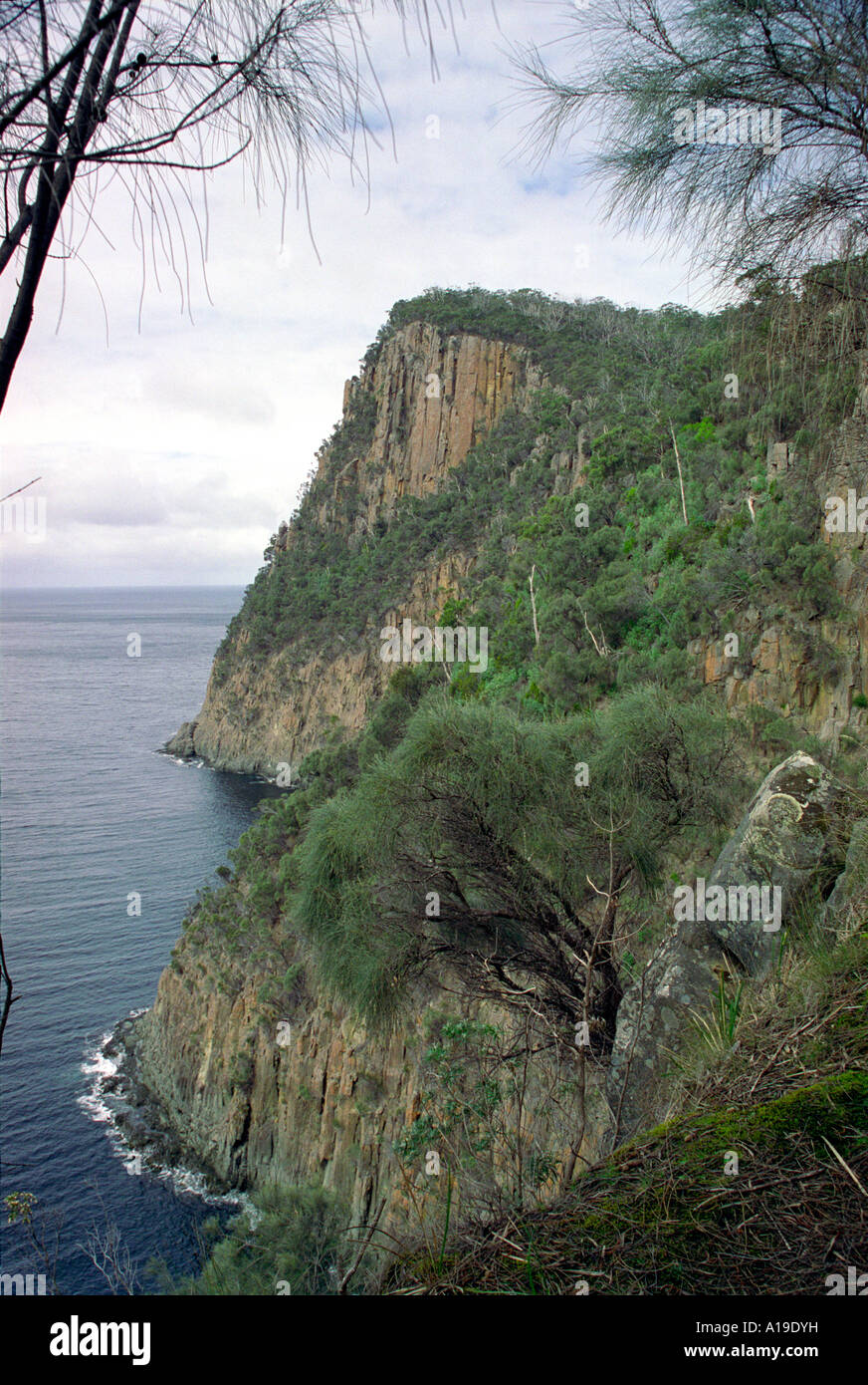 Fluted cape adventure bay hi-res stock photography and images - Alamy