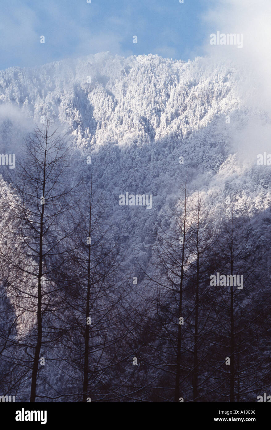 Wolong valley landscape hi-res stock photography and images - Alamy