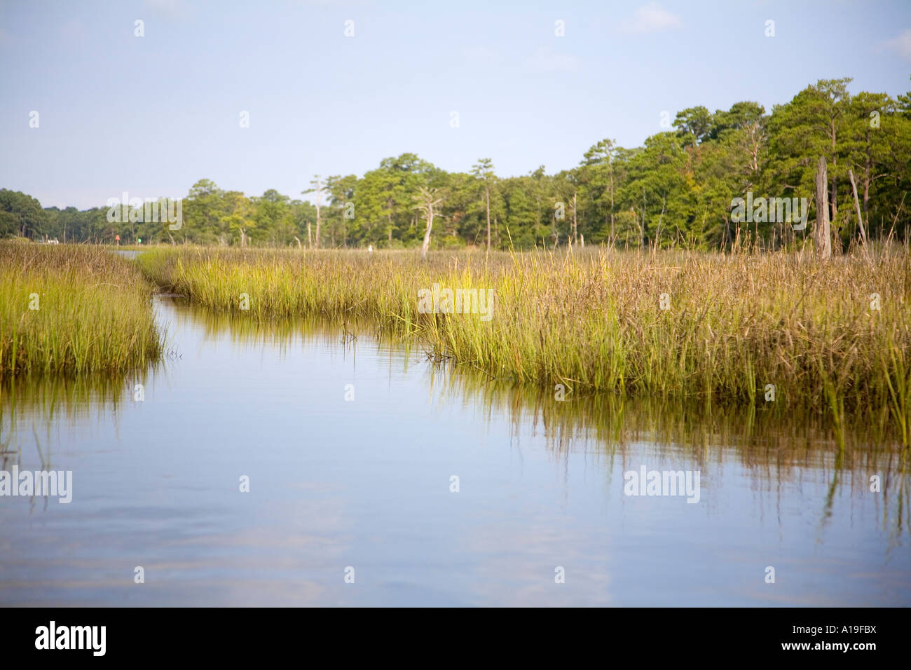 First landing state park virginia hi-res stock photography and images ...