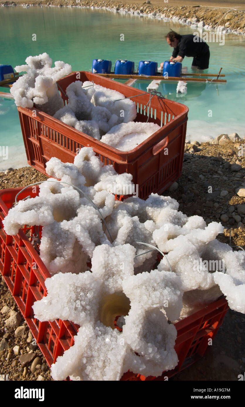 Israel Dead Sea salt sculptures artists in the process of producing ...