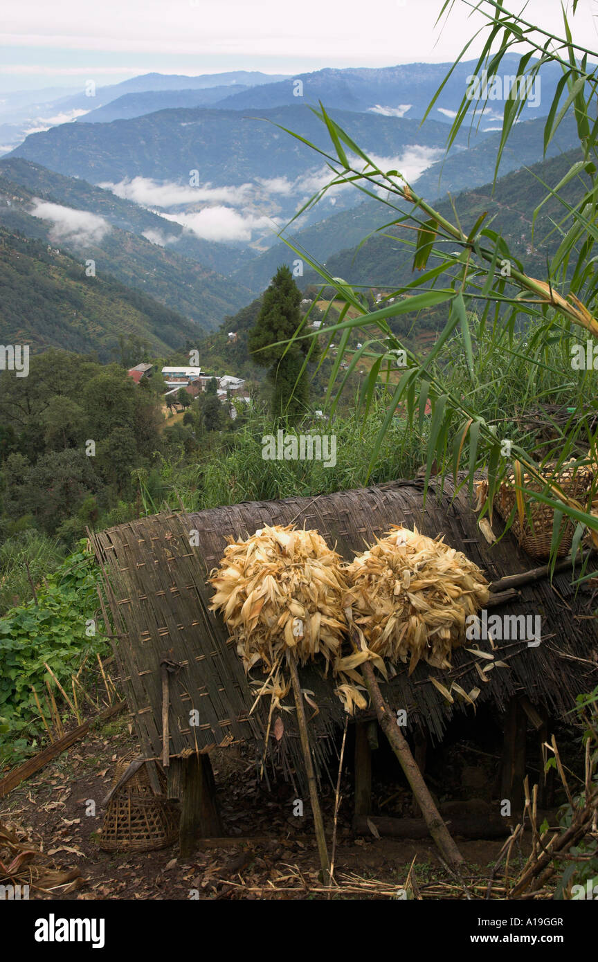 India West Bengal Himalaya range Darjeeling area Singalila trek Near ...