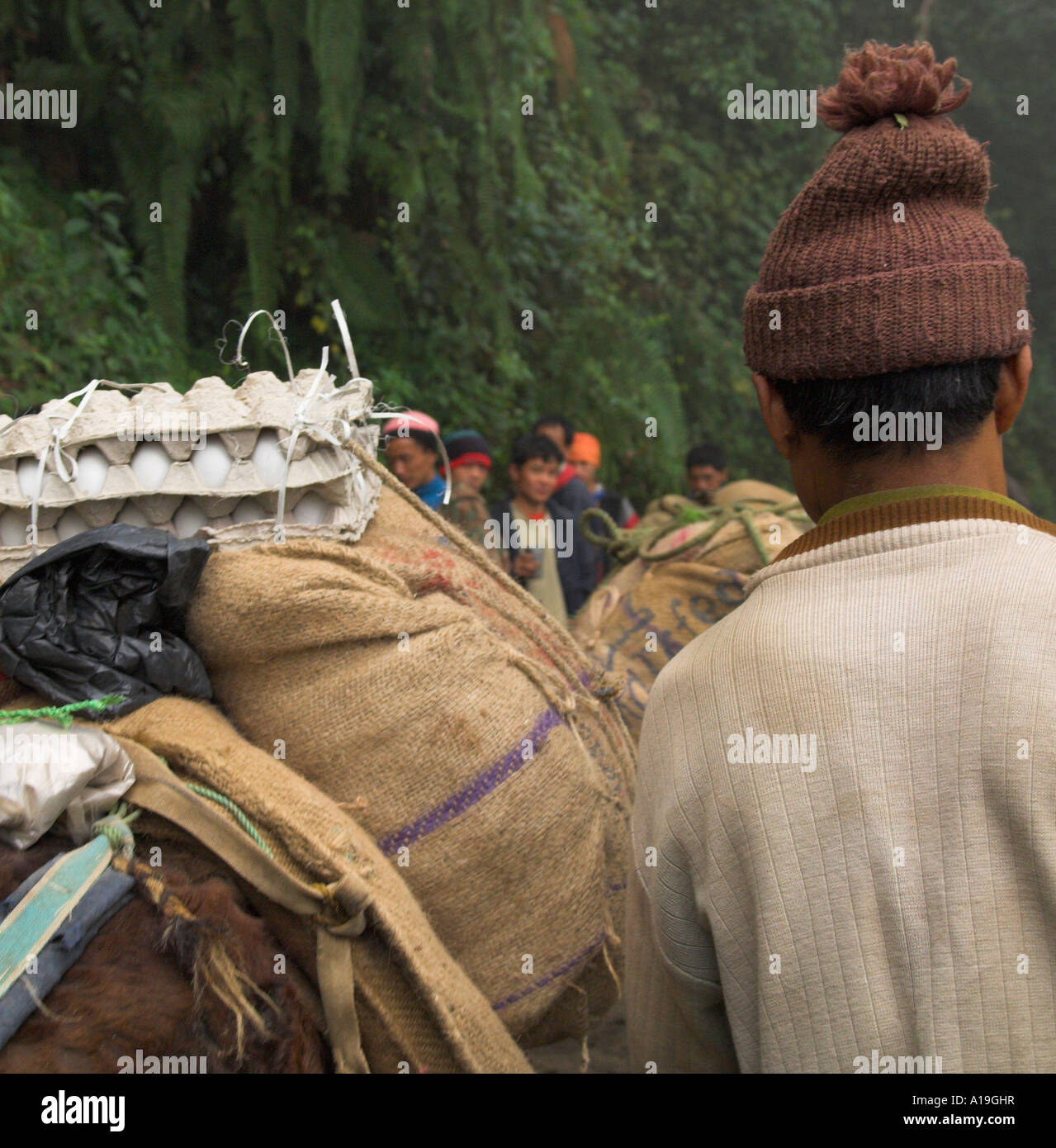 Rimbik hi-res stock photography and images - Alamy