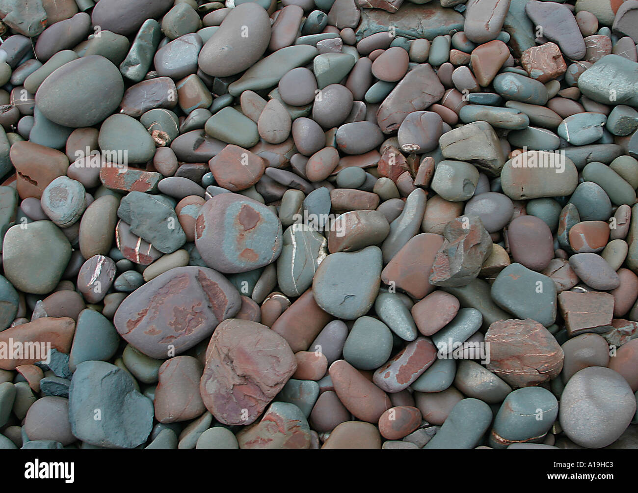 Pebbles and rocks on a Beach Stock Photo - Alamy