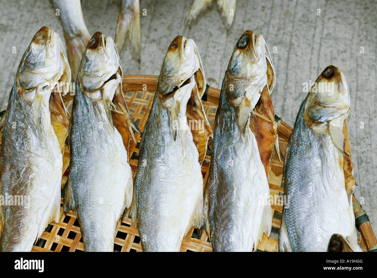 Macau Dried Fish On Display China Stock Photo - Alamy