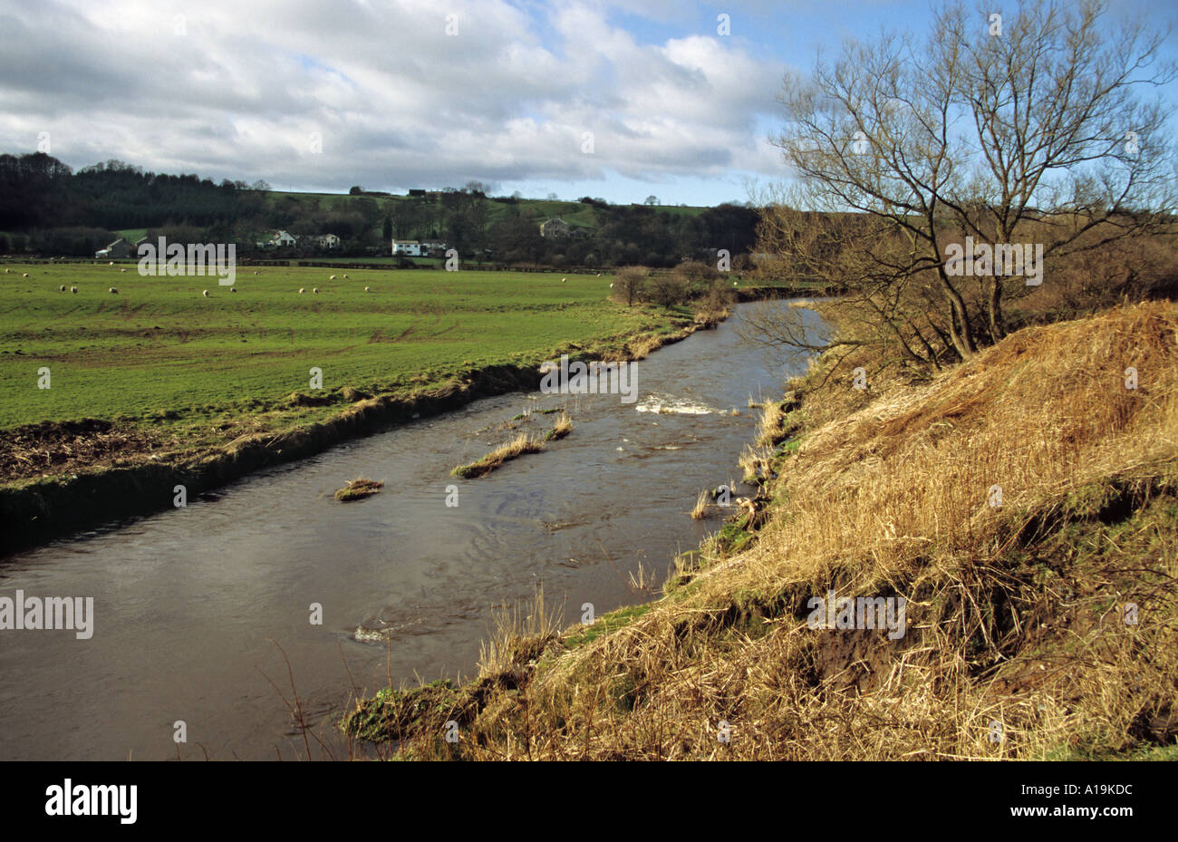 The River Darwen at the village of Houghton Bottoms in the Ribble ...