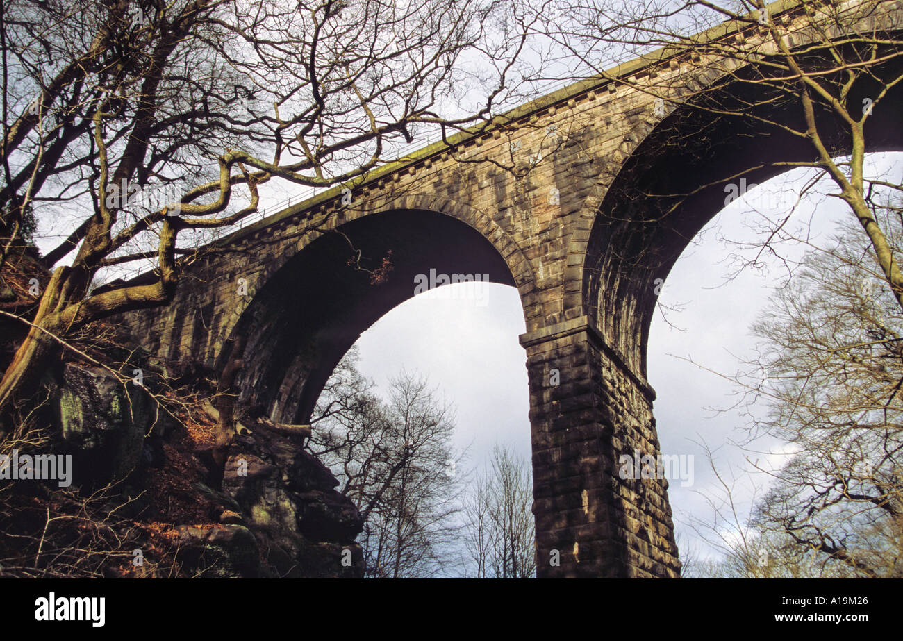 Railway Viaduct over the River Darwen near Pleasington in the Ribble ...