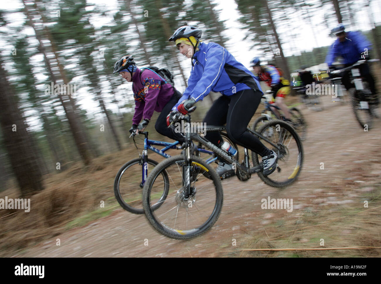 Mountain bike riders in action on Cannock Chase Stock Photo - Alamy