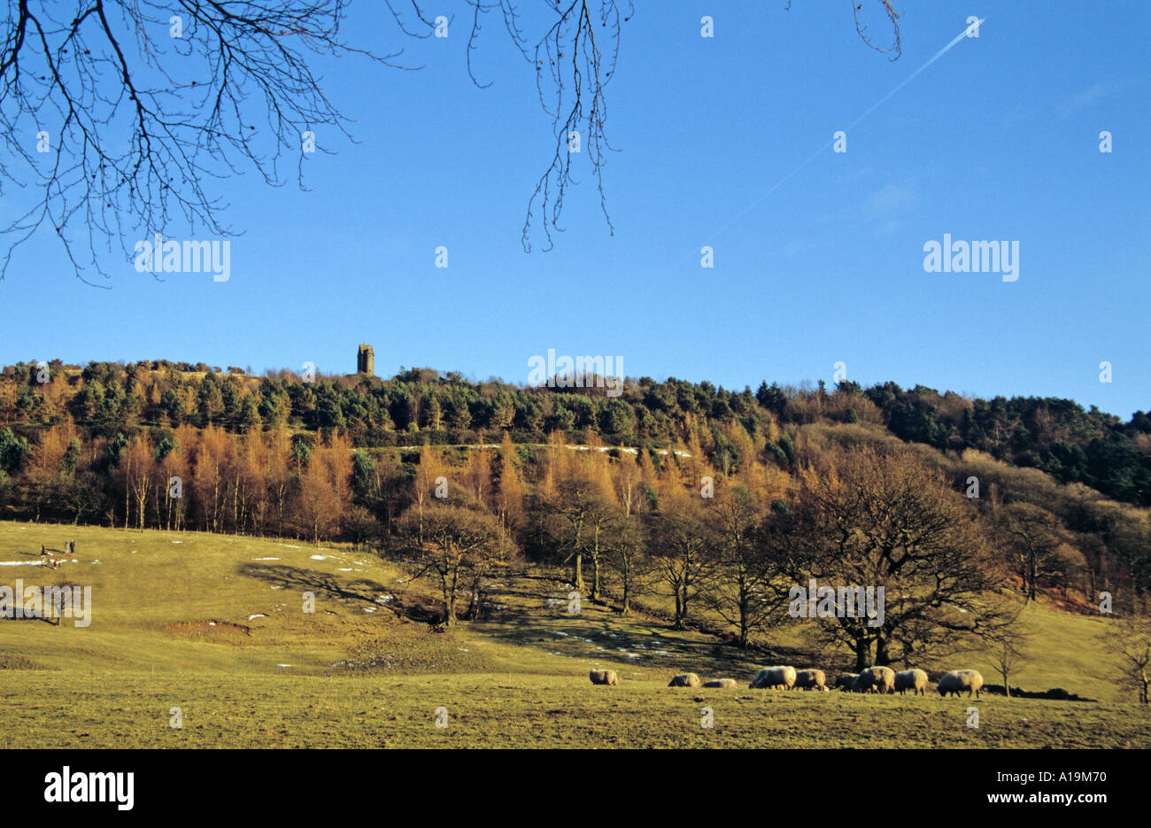 Rivington Pike with the derelict Pigion Tower on the Horizon in Lever ...