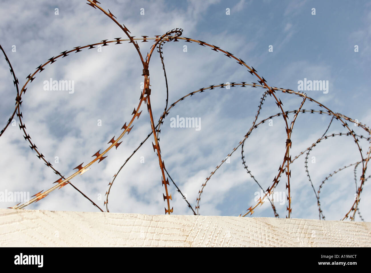 Miami Florida,barbed wire,wall,sky,crime,protection,defense,cut,sharp ...