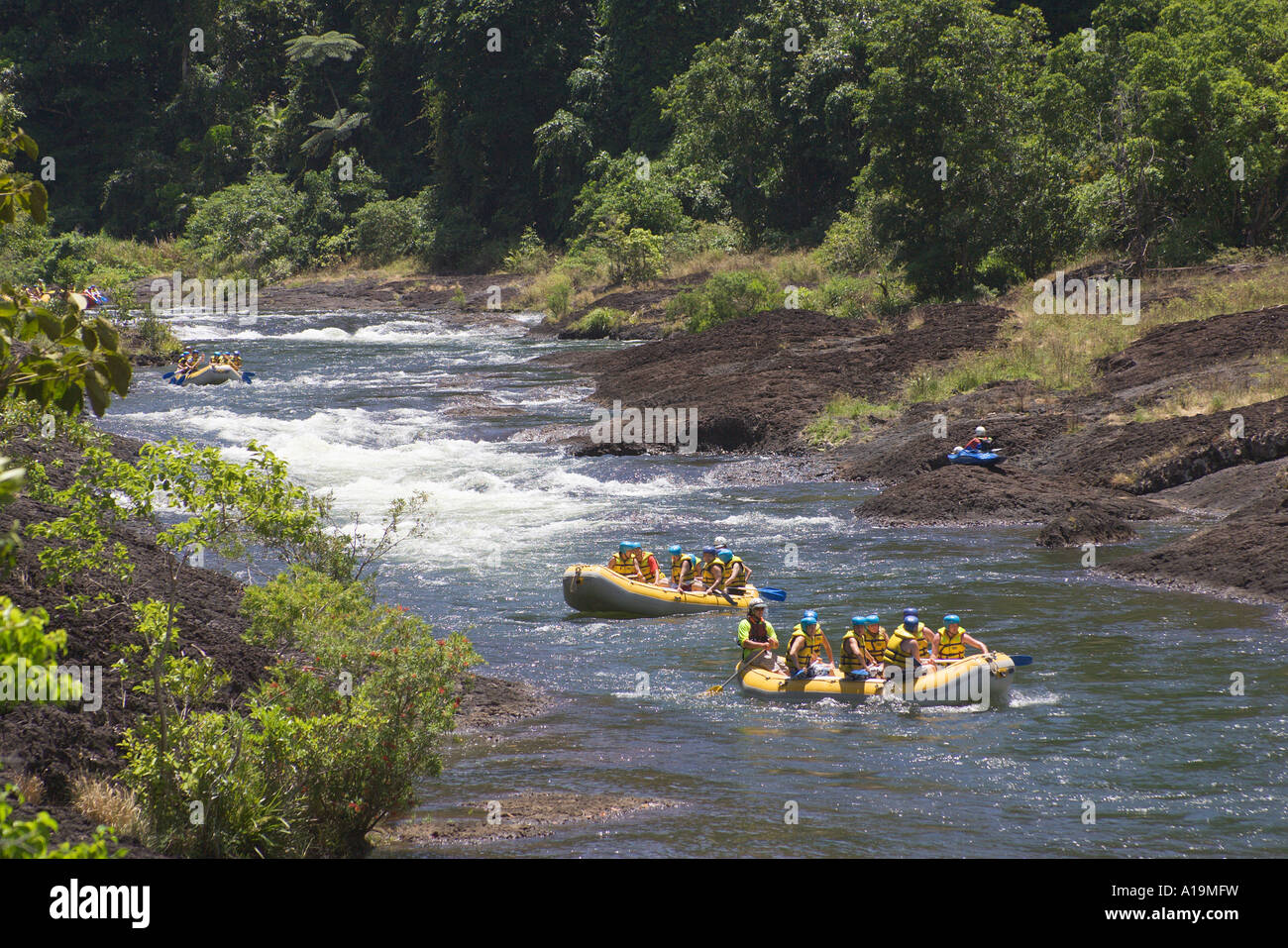 White water rafting Tully Gorge State Forest Queensland Australia Stock ...