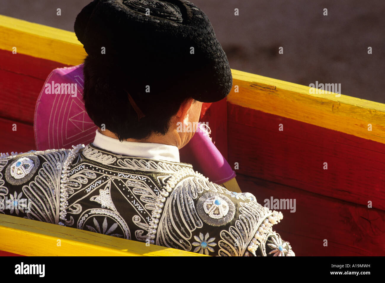 Bull head back hi-res stock photography and images - Alamy