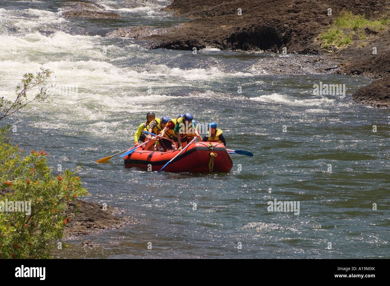 White water rafting Tully Gorge State Forest Queensland Australia Stock ...