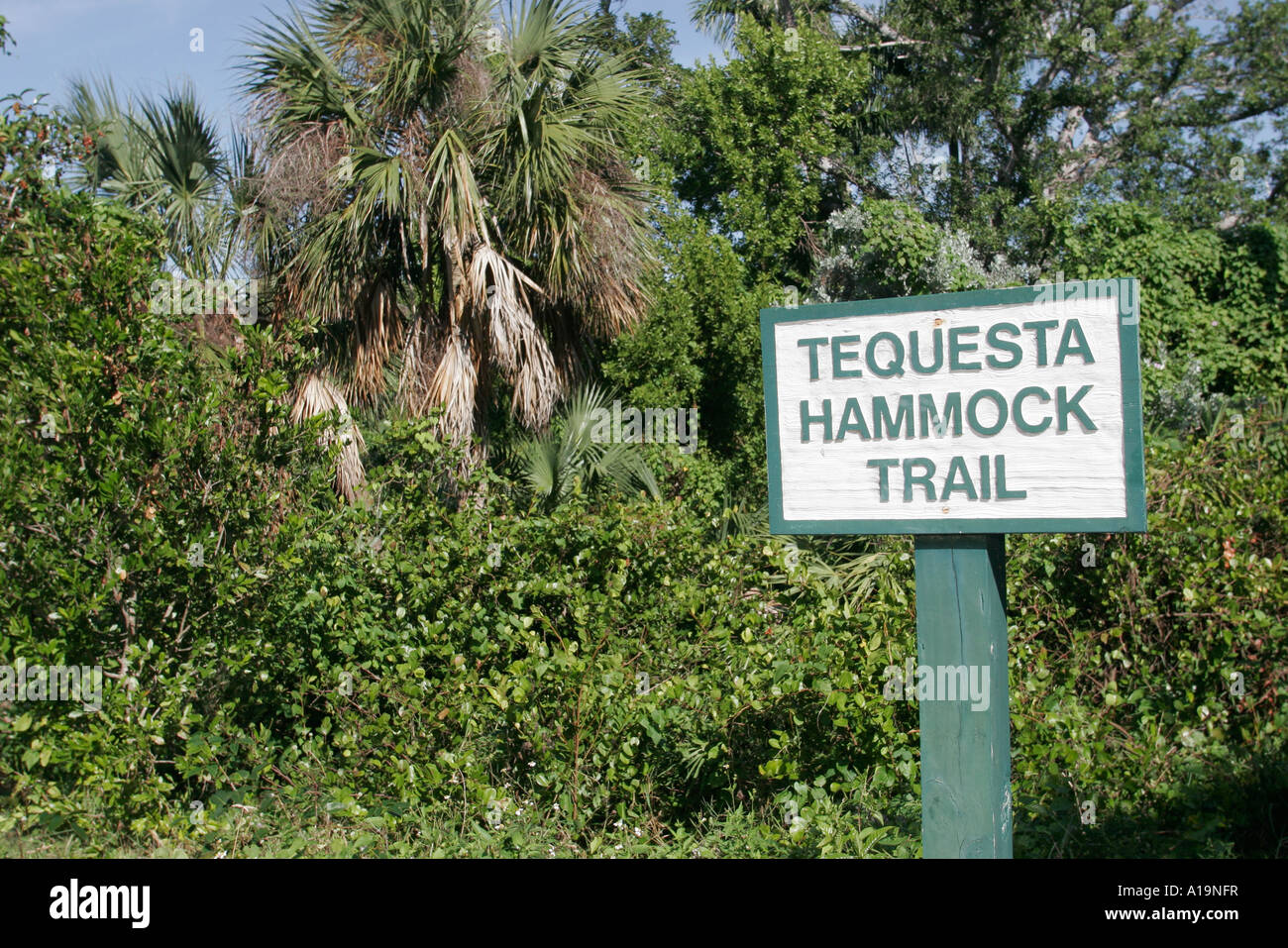 Biscayne nature trail hi-res stock photography and images - Alamy