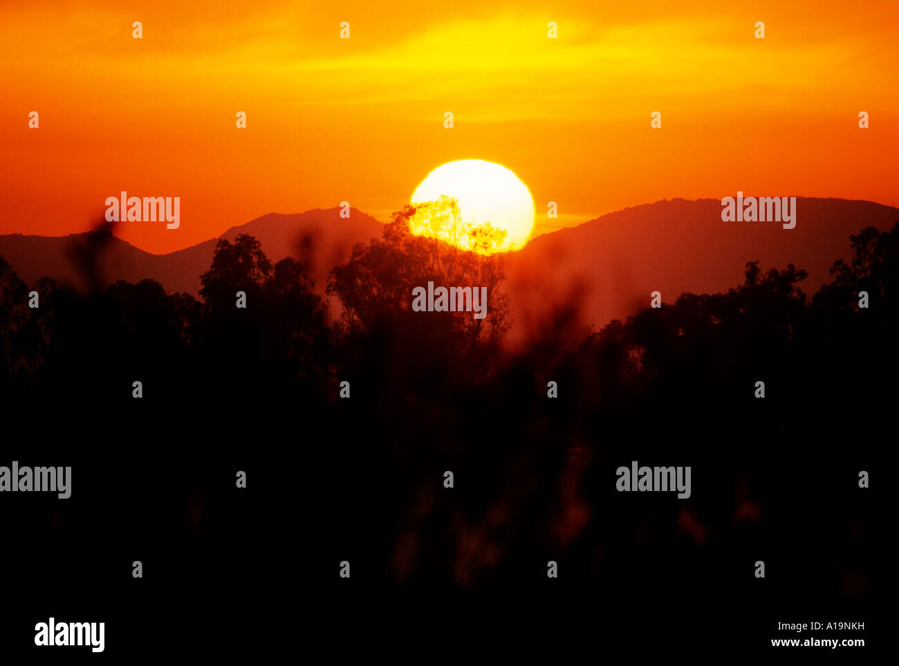 A large sun dips into the horizon at sunset Stock Photo - Alamy