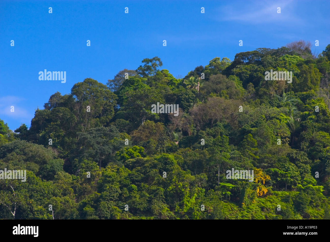 tropical hills scenery and blue sky Stock Photo - Alamy