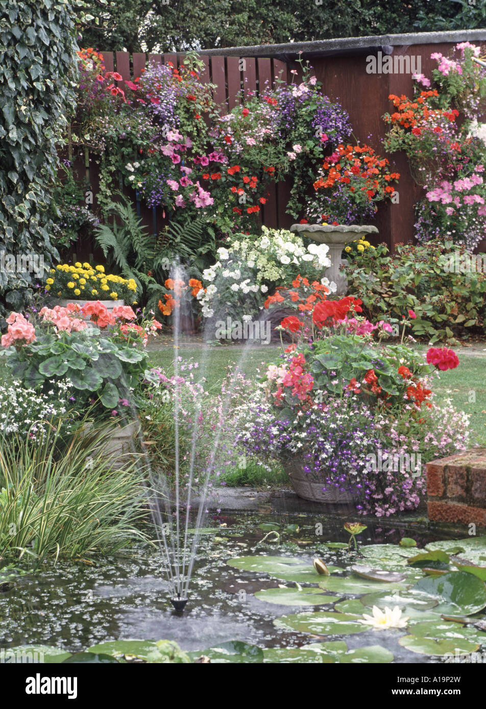 Domestic back garden display of summer bedding flowers and pond with ...