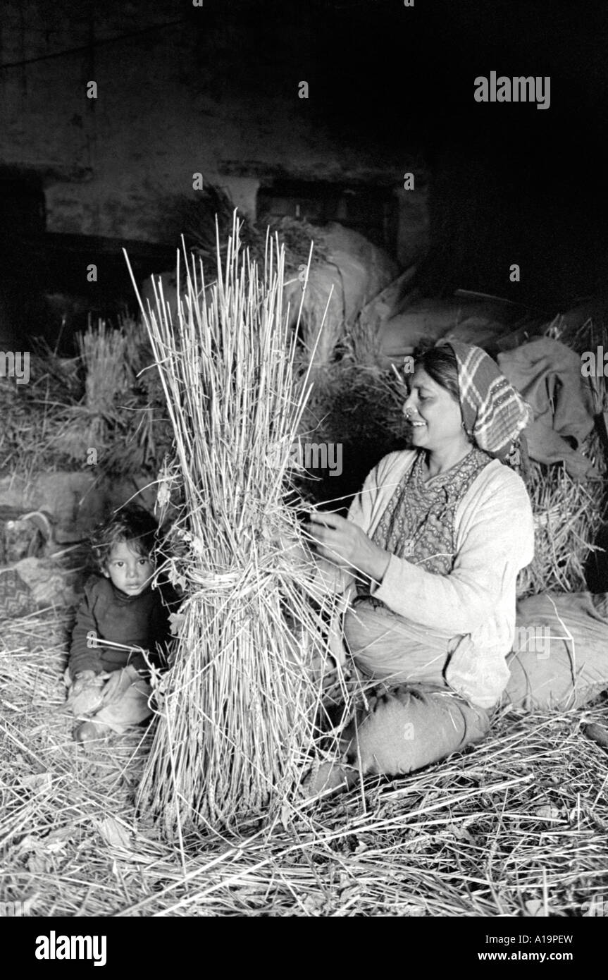 Harvesting barley farm in Black and White Stock Photos & Images - Alamy
