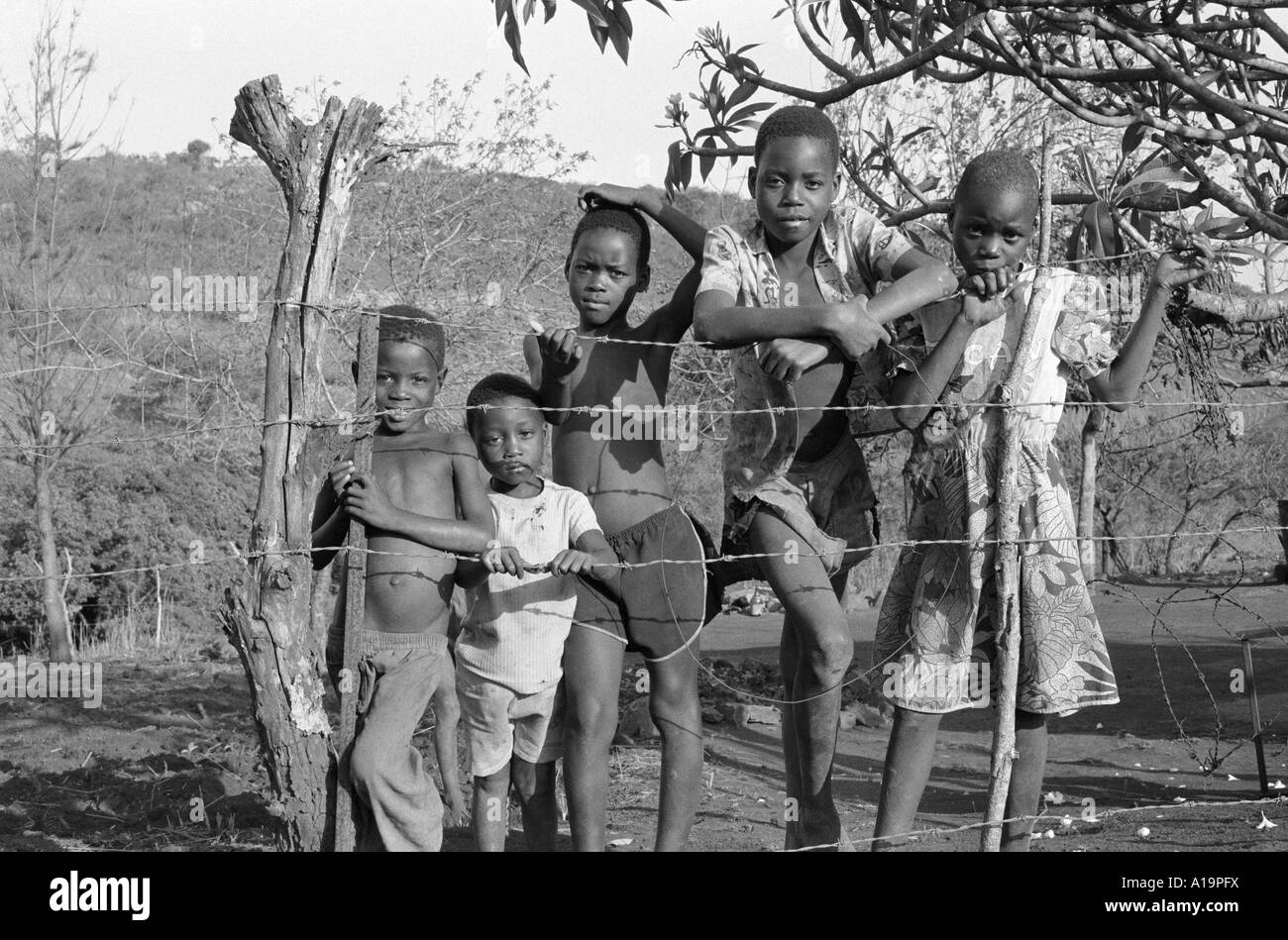 Swaziland Farm High Resolution Stock Photography and Images - Alamy