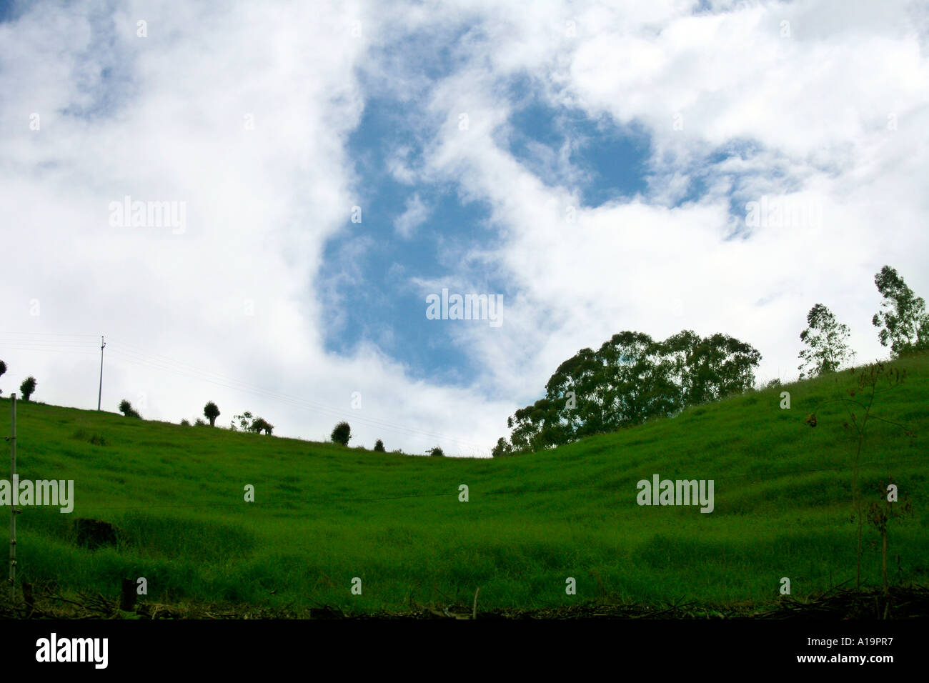 Tea estate in Munnar, a major hill station and tourist destination in ...