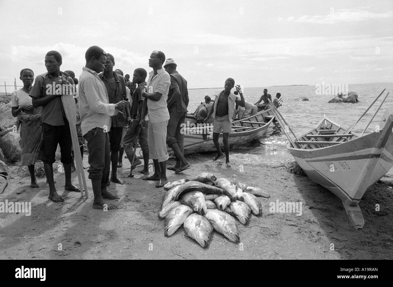 Nile Perch Lake Victoria Black and White Stock Photos & Images - Alamy