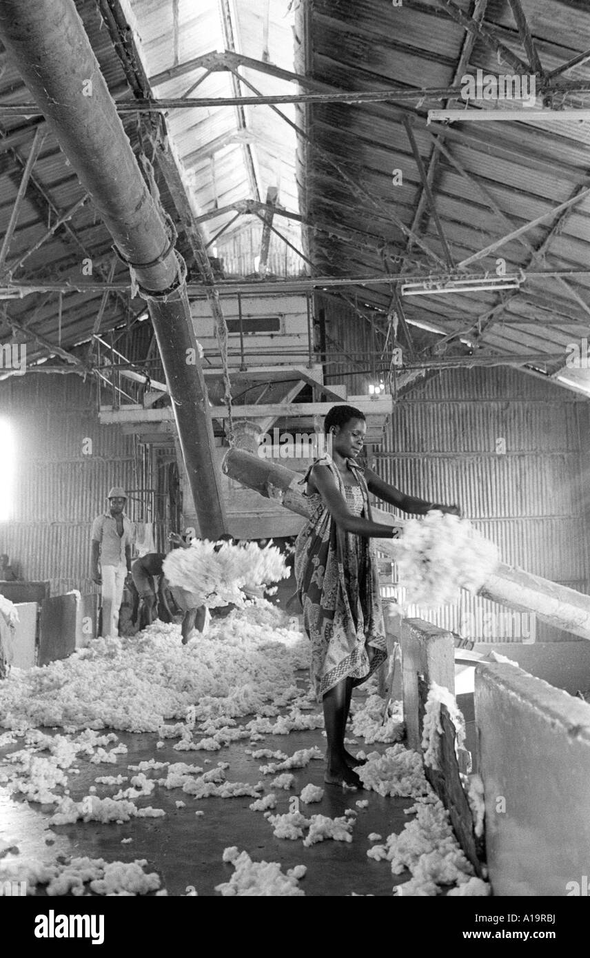 Cotton ginning mill hi-res stock photography and images - Alamy