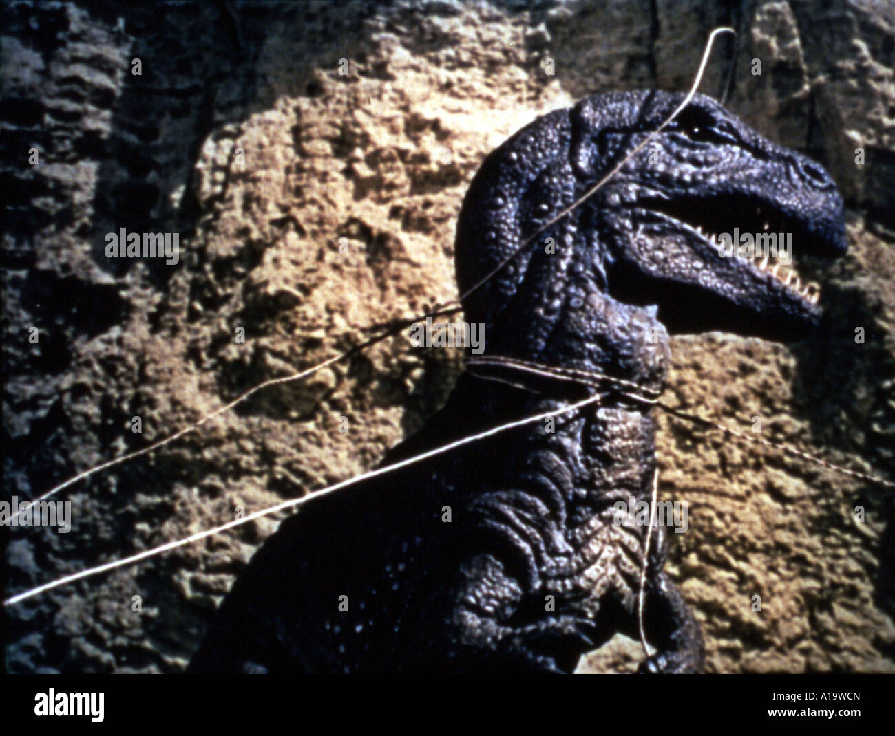 The Valley of Gwangi Year 1969 Director Jim O Connolly Stock Photo - Alamy