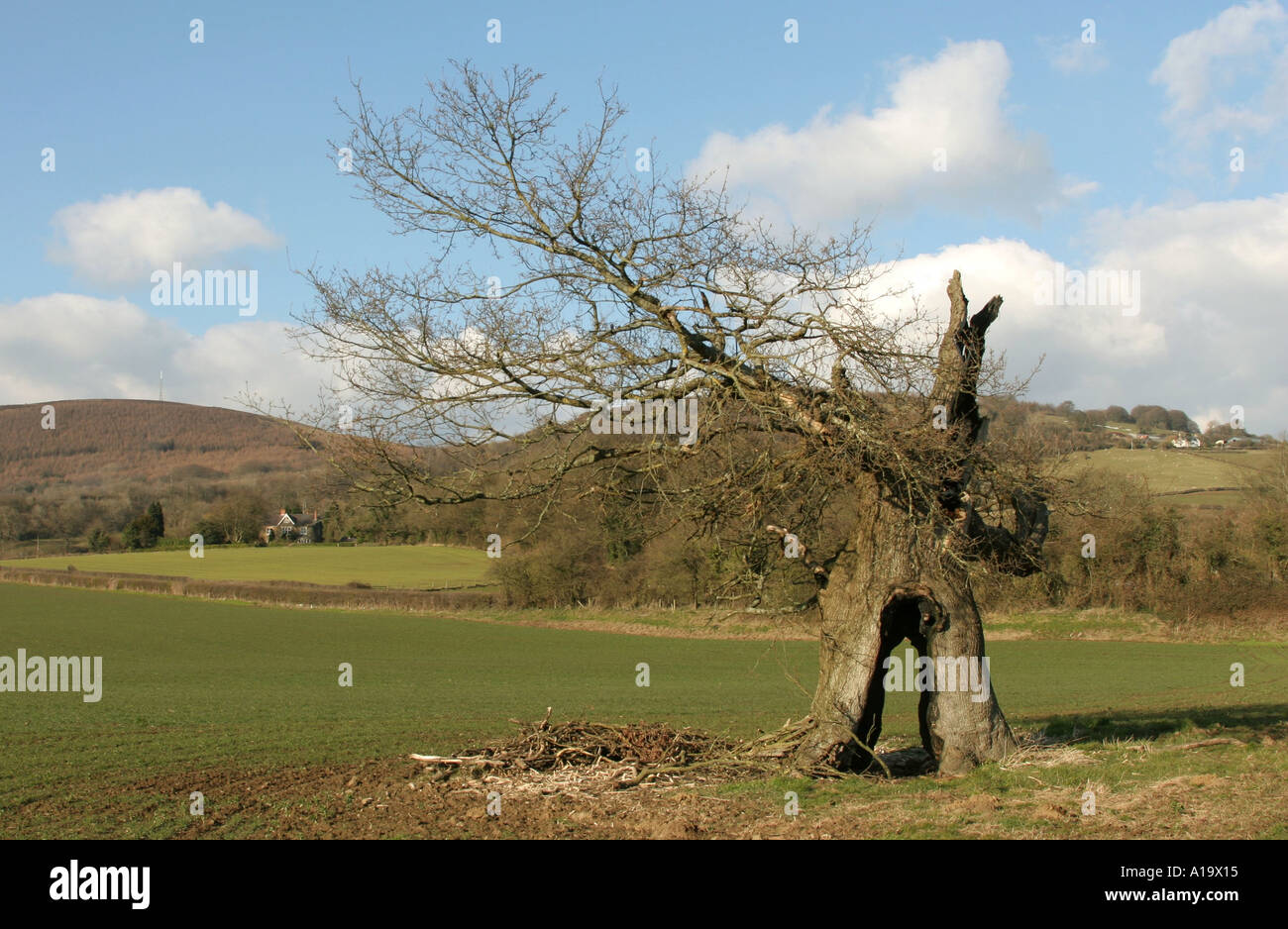 Lower machen south wales gb hi-res stock photography and images - Alamy