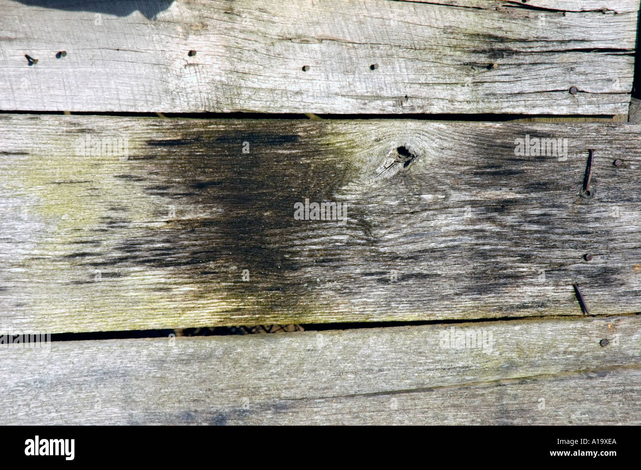 Weathered barn wood planks Stock Photo - Alamy