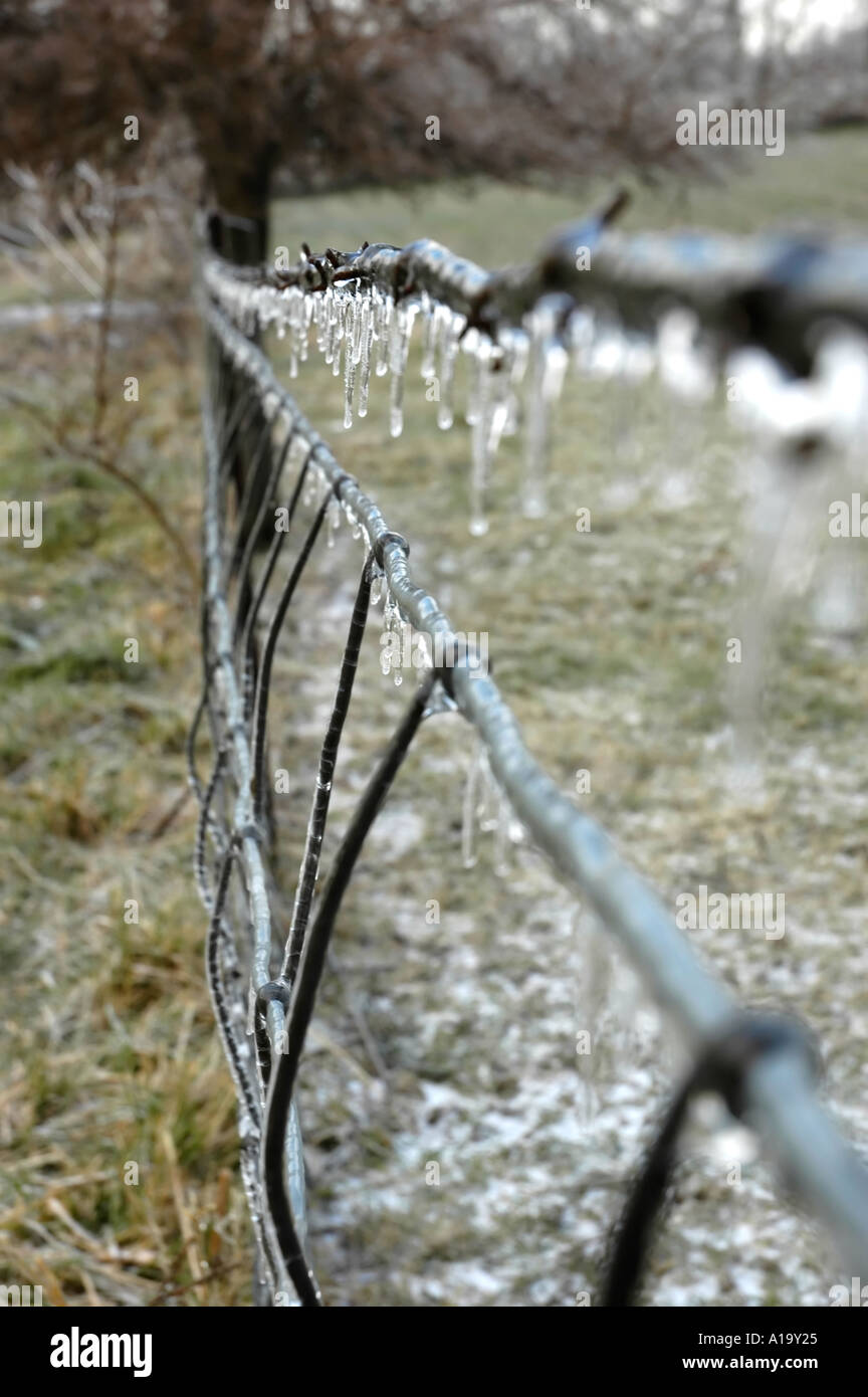Barbed wire fence encased in ice hi-res stock photography and images ...