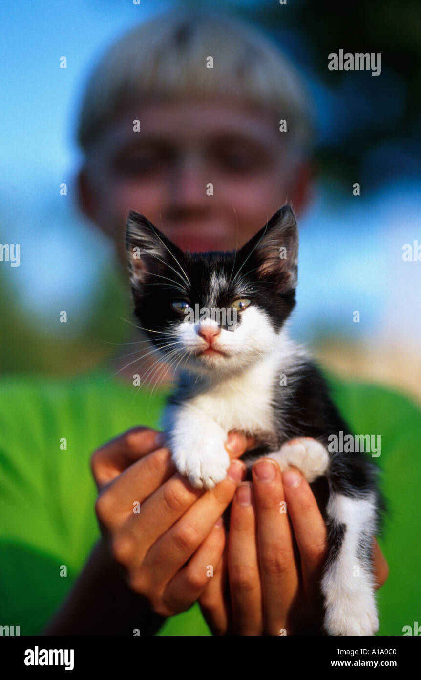 Boy Holding Kitty Stock Photo - Alamy