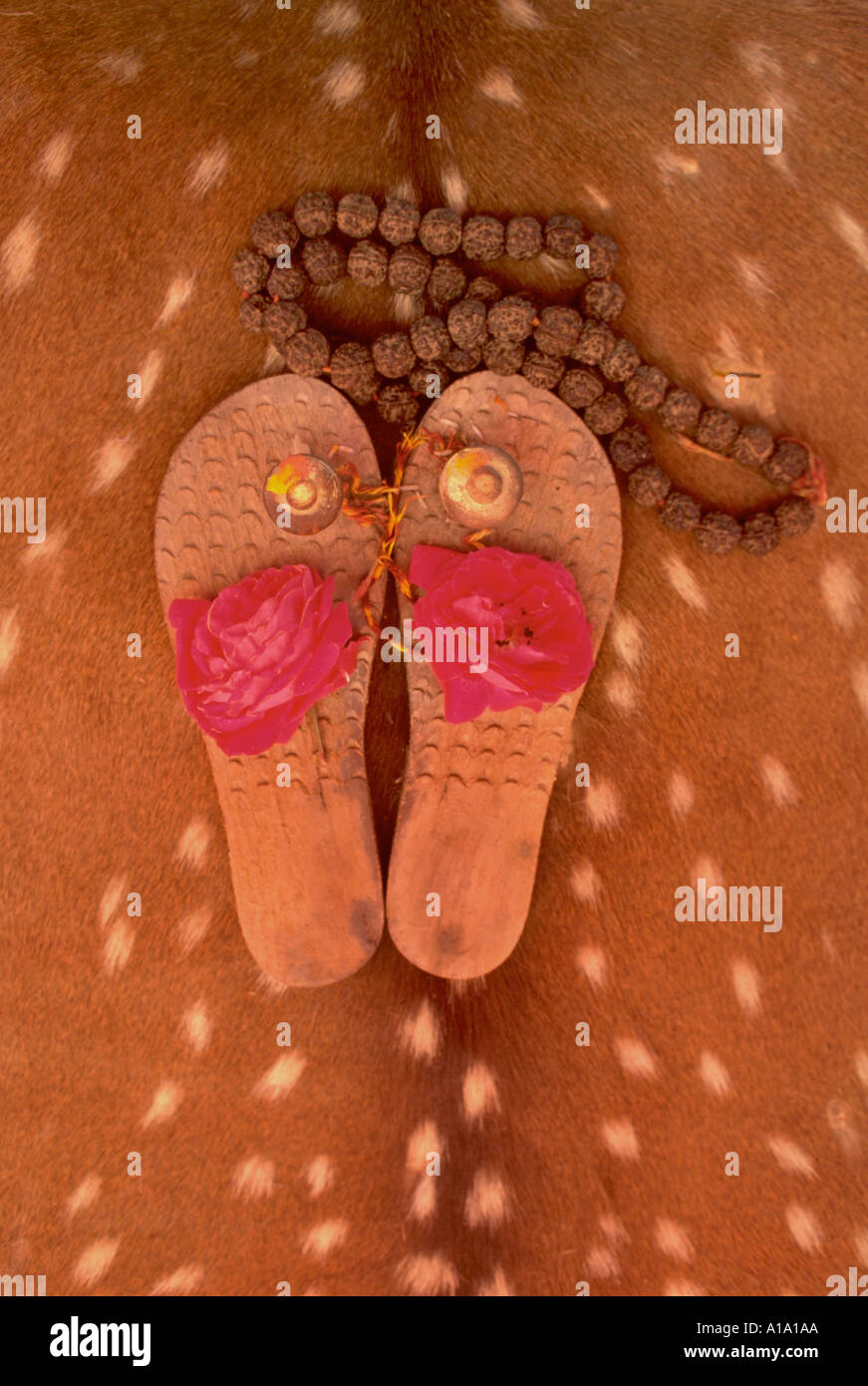 Indian sandals hi-res stock photography and images - Alamy