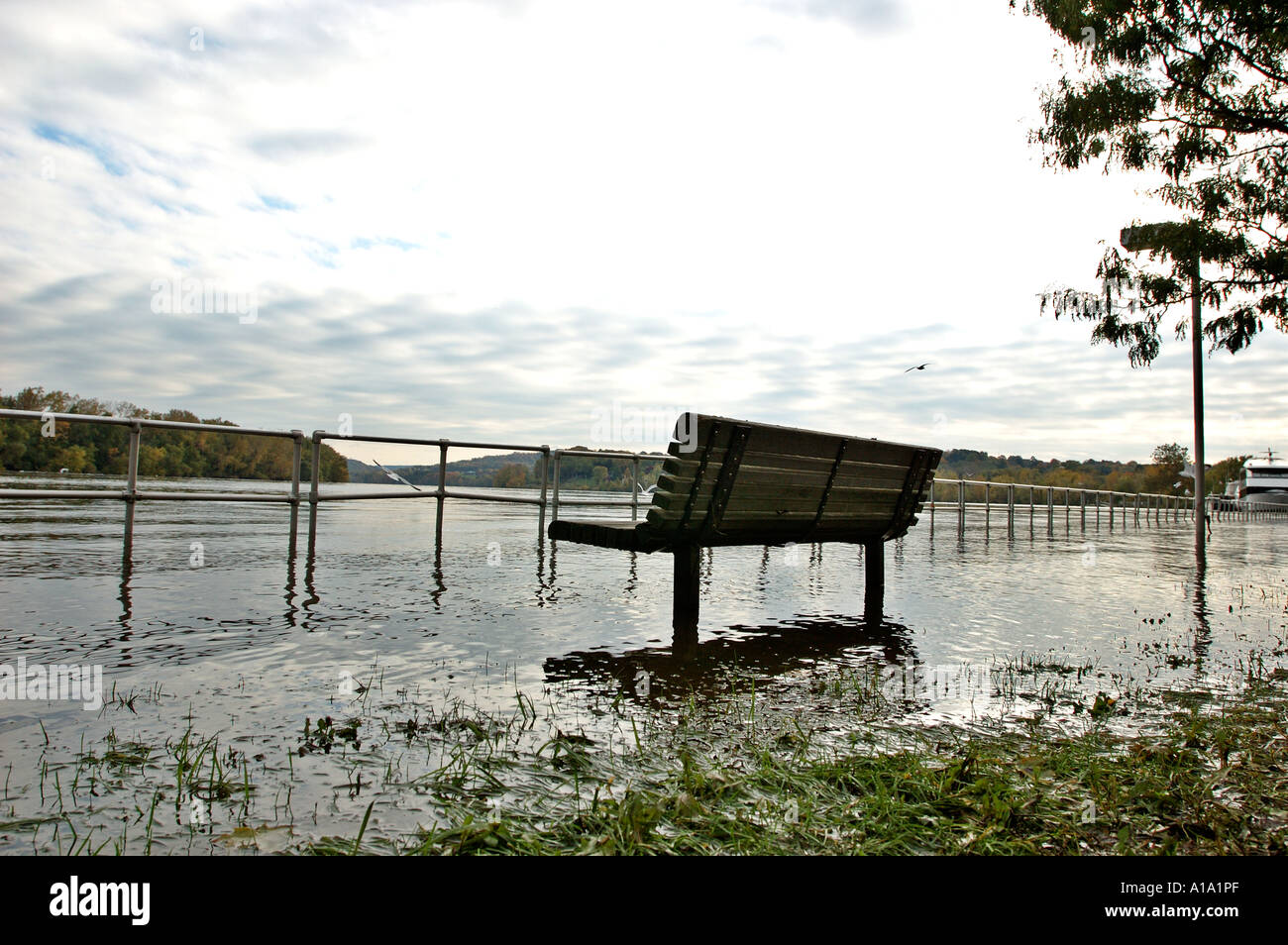 A flooded park with a bench surronded by water next to a river Stock ...
