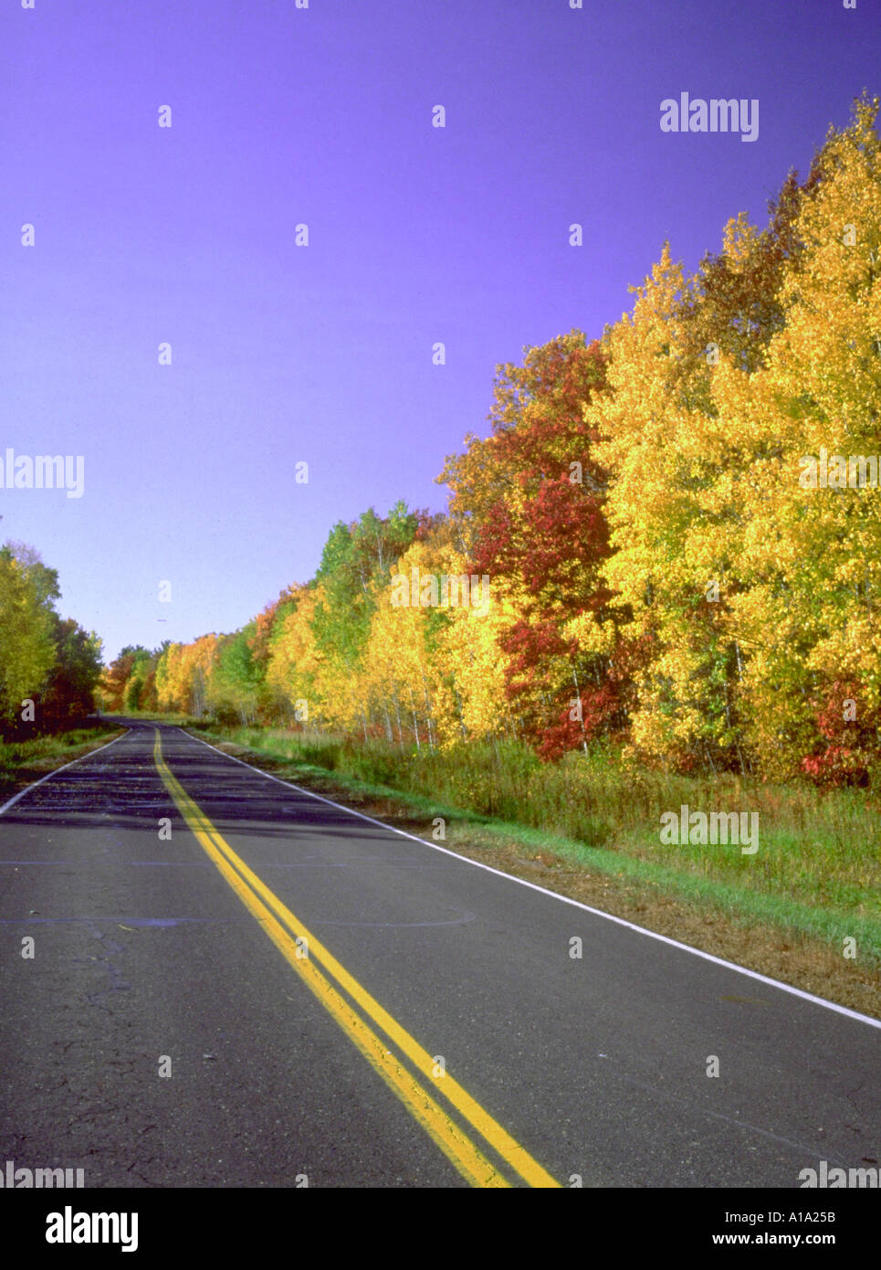 Fall foliage along highway in Eastern Minnesota Stock Photo - Alamy