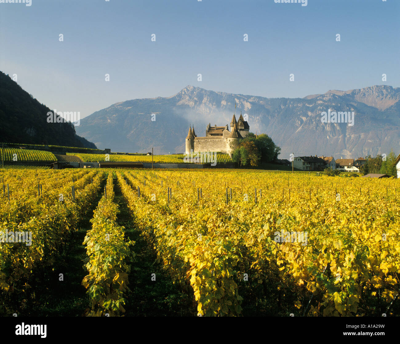 Switzerland Rhone River Landscape High Resolution Stock Photography and ...