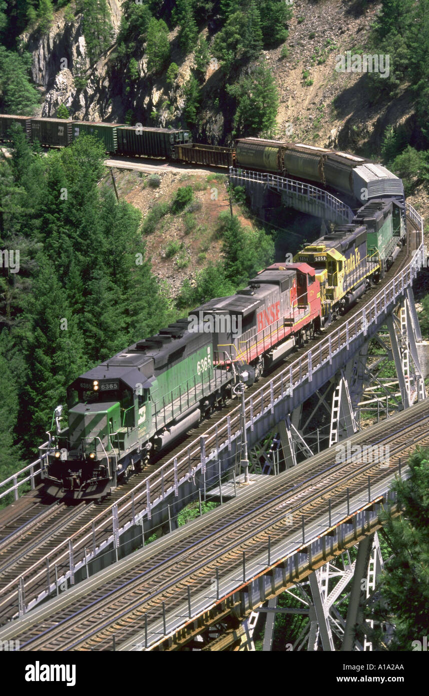 Freight train crossing a large tressel in the mountains of California ...