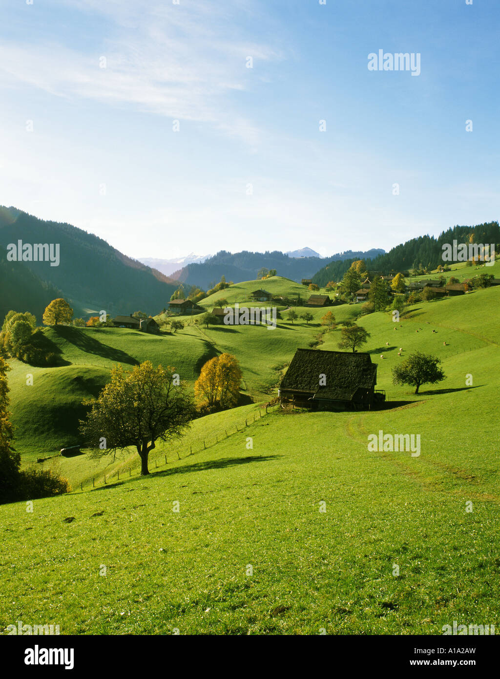 Obersimmental hi-res stock photography and images - Alamy