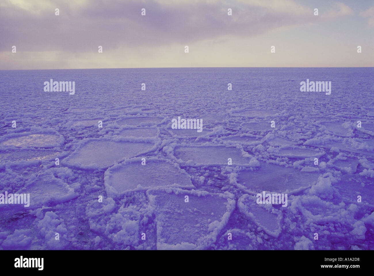 Agate bay hi-res stock photography and images - Alamy
