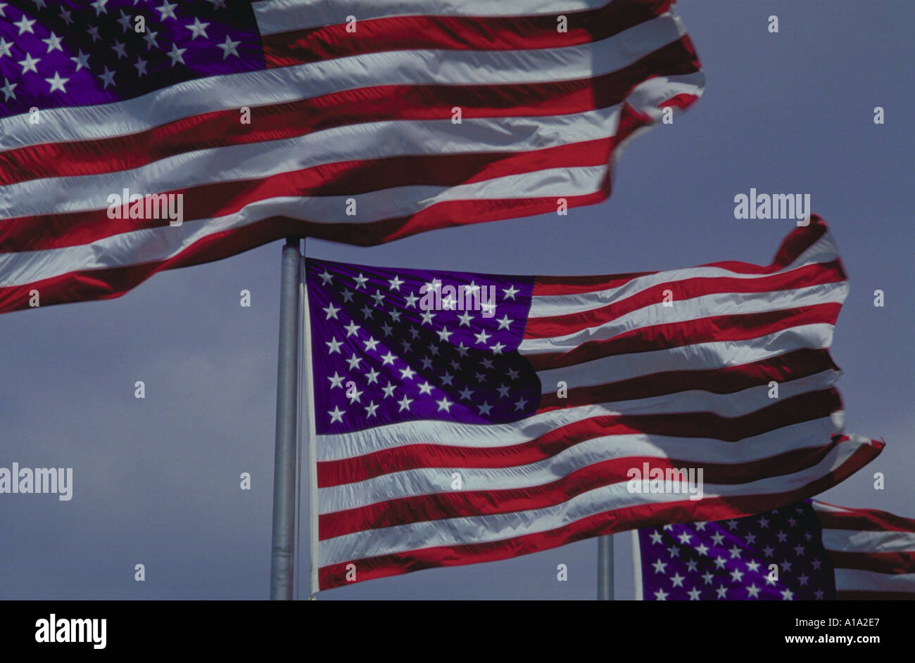 Three American flags waving in the wind Stock Photo - Alamy