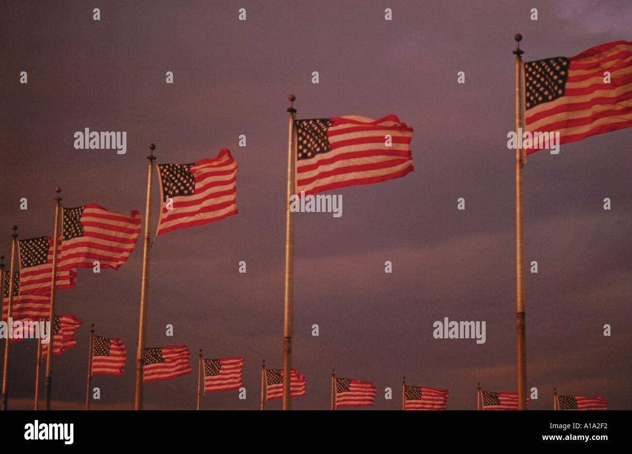 Group american flags blowing wind hi-res stock photography and images ...