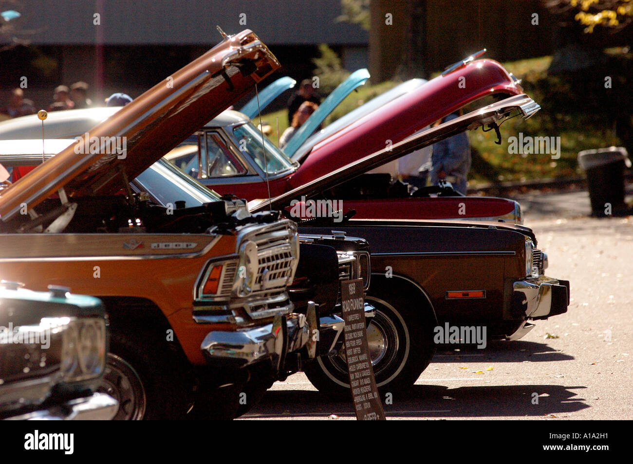Classic American made muscle car show Stock Photo - Alamy