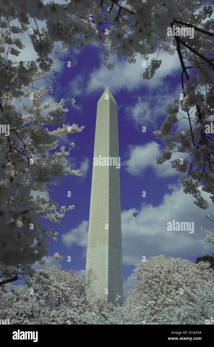 View of the Washington Monument and blue sky and clouds through the ...