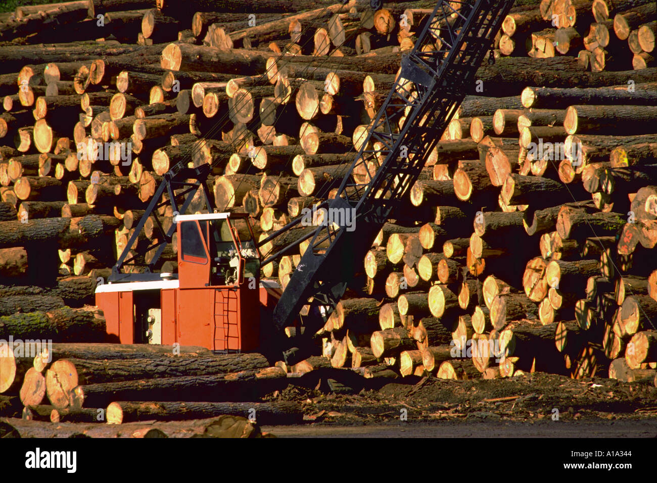 Northern california lumber mill hi-res stock photography and images - Alamy