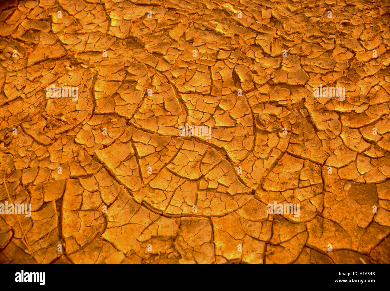 Cracked mud in dry lake bed Stock Photo - Alamy