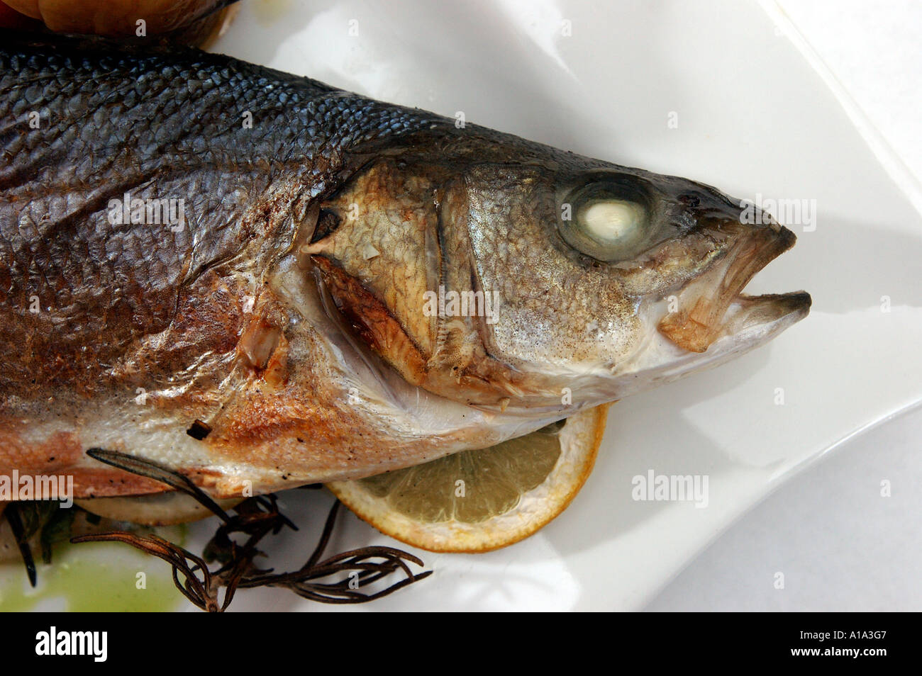 A close up of a cooked fish Stock Photo - Alamy