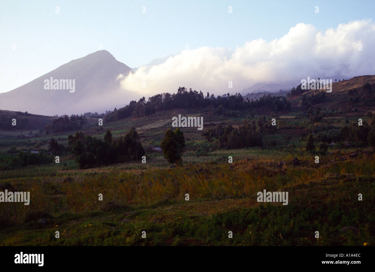 Virunga Volcano Mgahinga National Park Uganda East Africa Stock Photo ...
