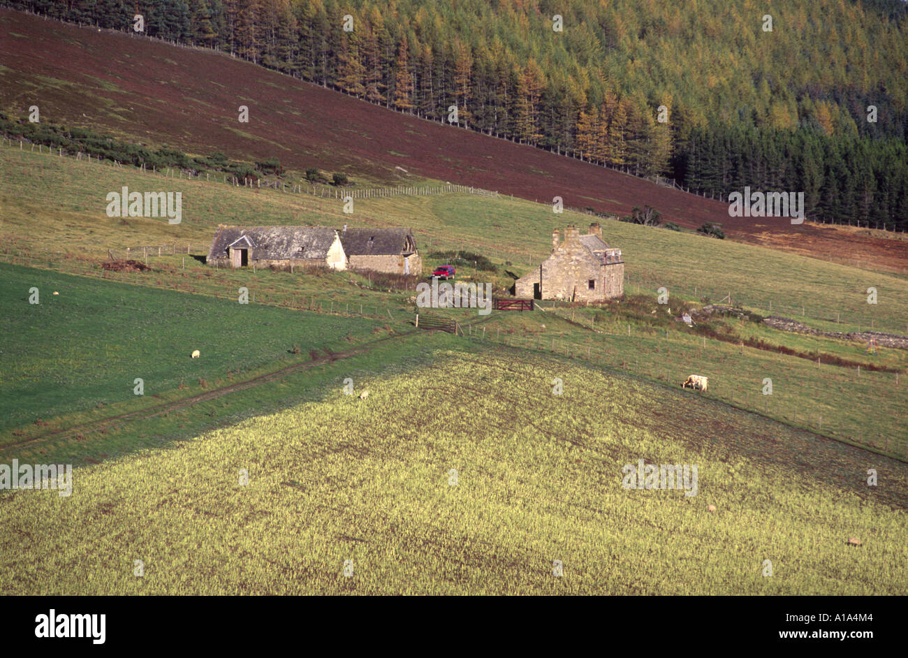 Crofting farming hi-res stock photography and images - Alamy