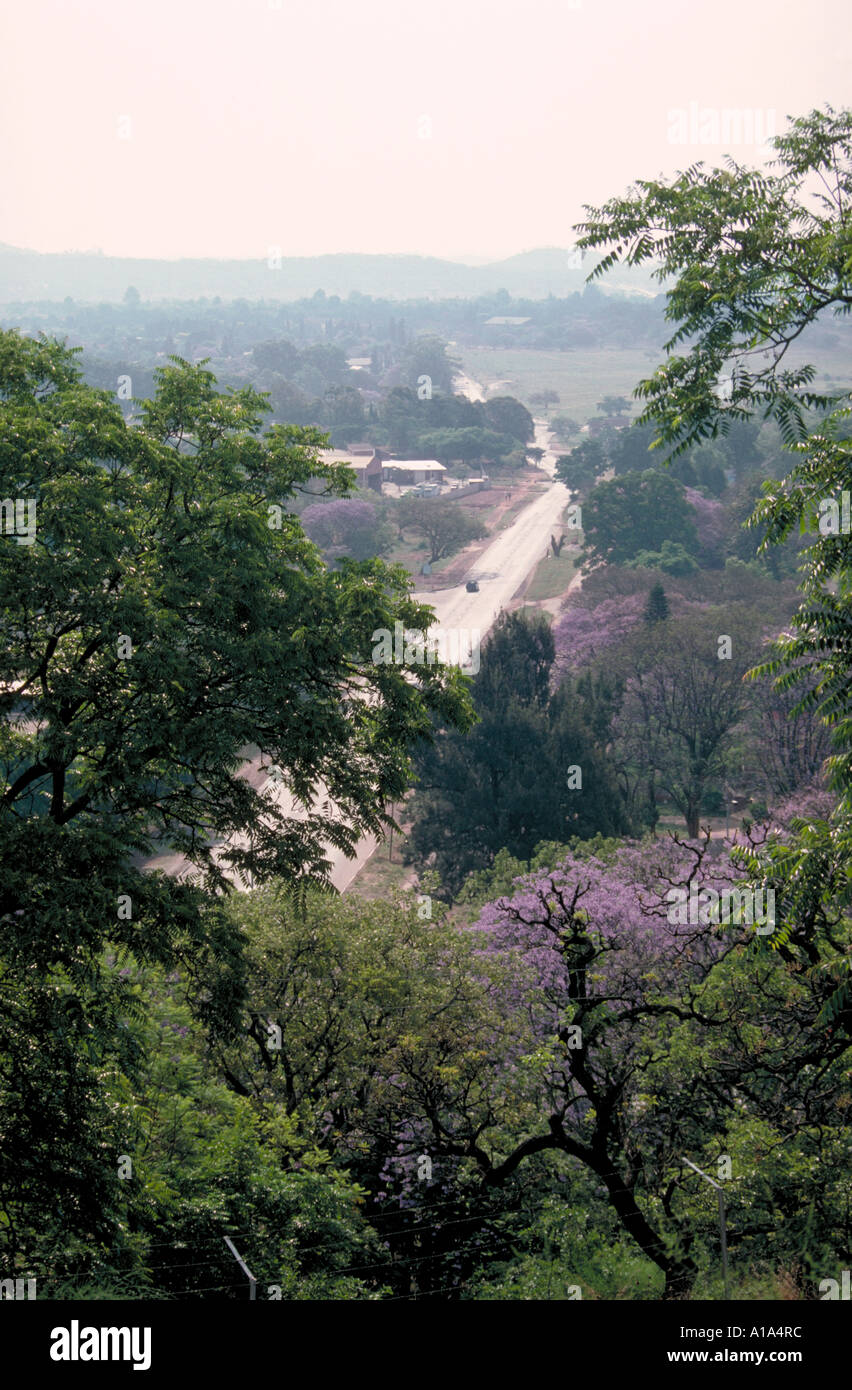 Zimbabwe harare jacaranda hi-res stock photography and images - Alamy