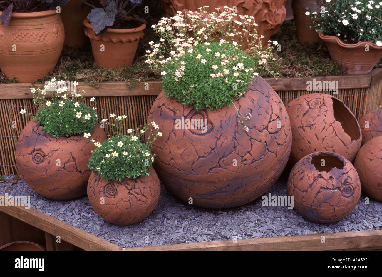 Set of unusual teracotta pots Chelsea Flower Show Stock Photo - Alamy